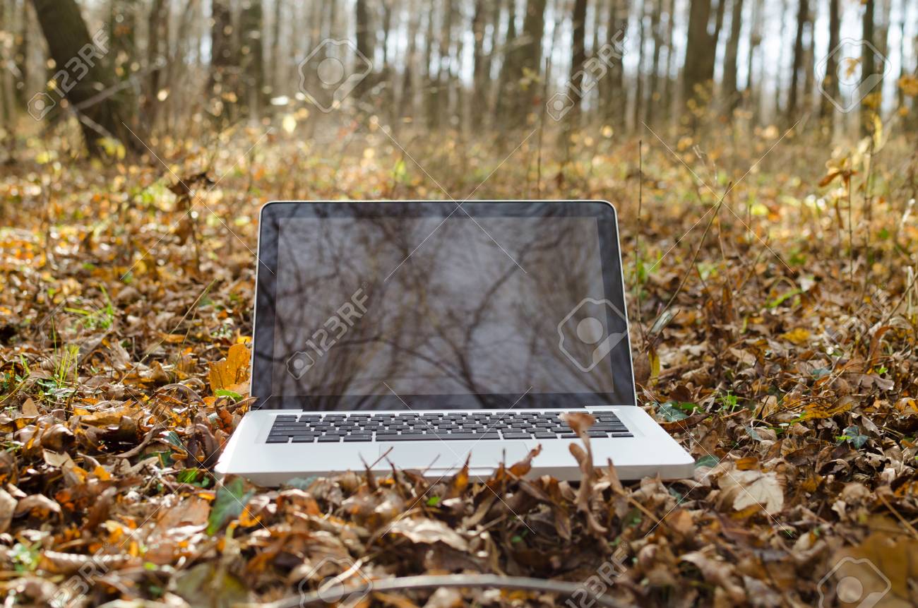 From Equal Opportunities to Unfettered World Travel – What’s Driving ...