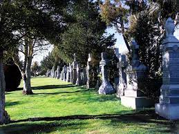 Hiking in Colma’s Cemeteries – Free Range Life
