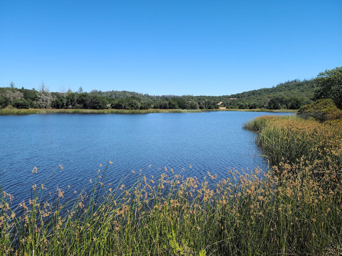 Trione-Annadel State Park in Santa Rosa, CA – Free Range Life