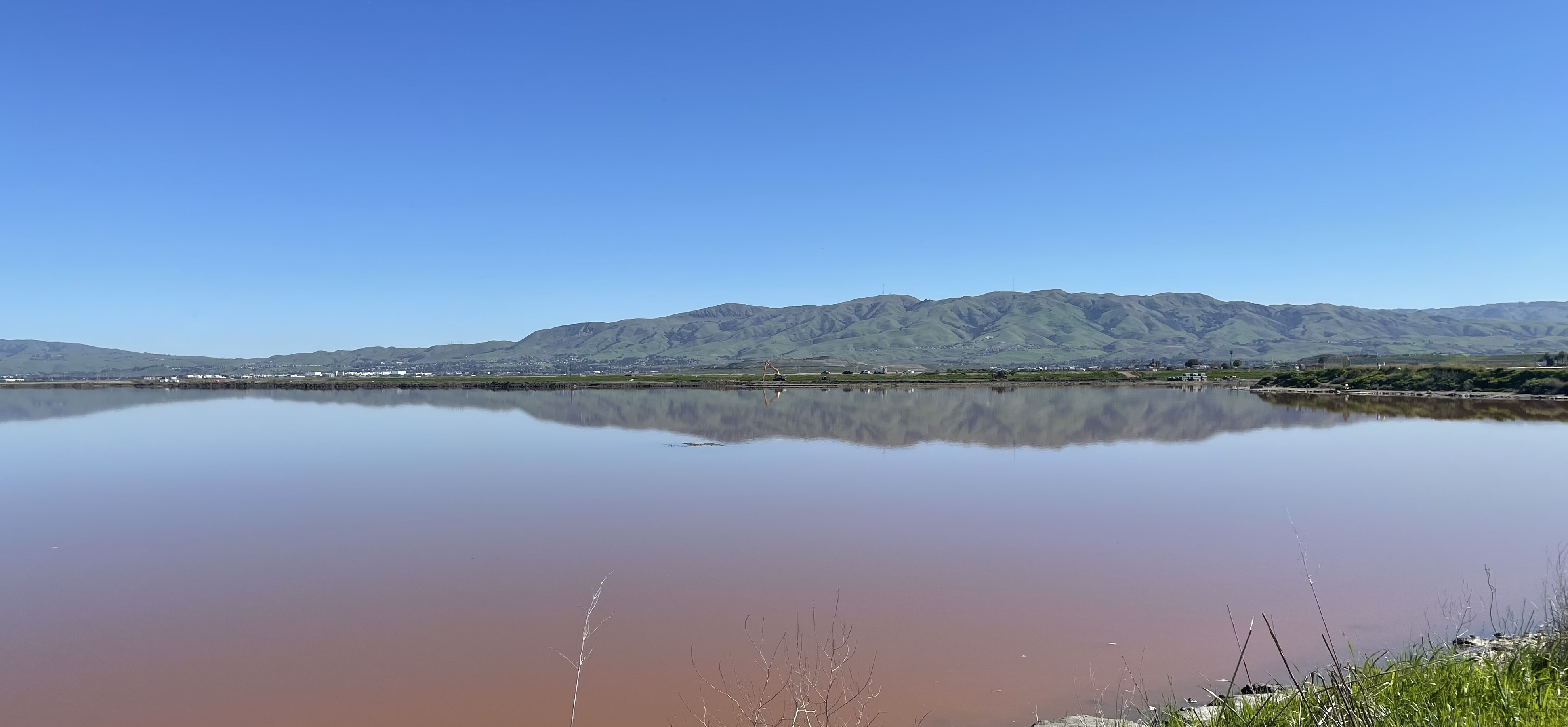 Alviso Marina County Park – San Jose’s Salty Pink Pond – Free Range Life